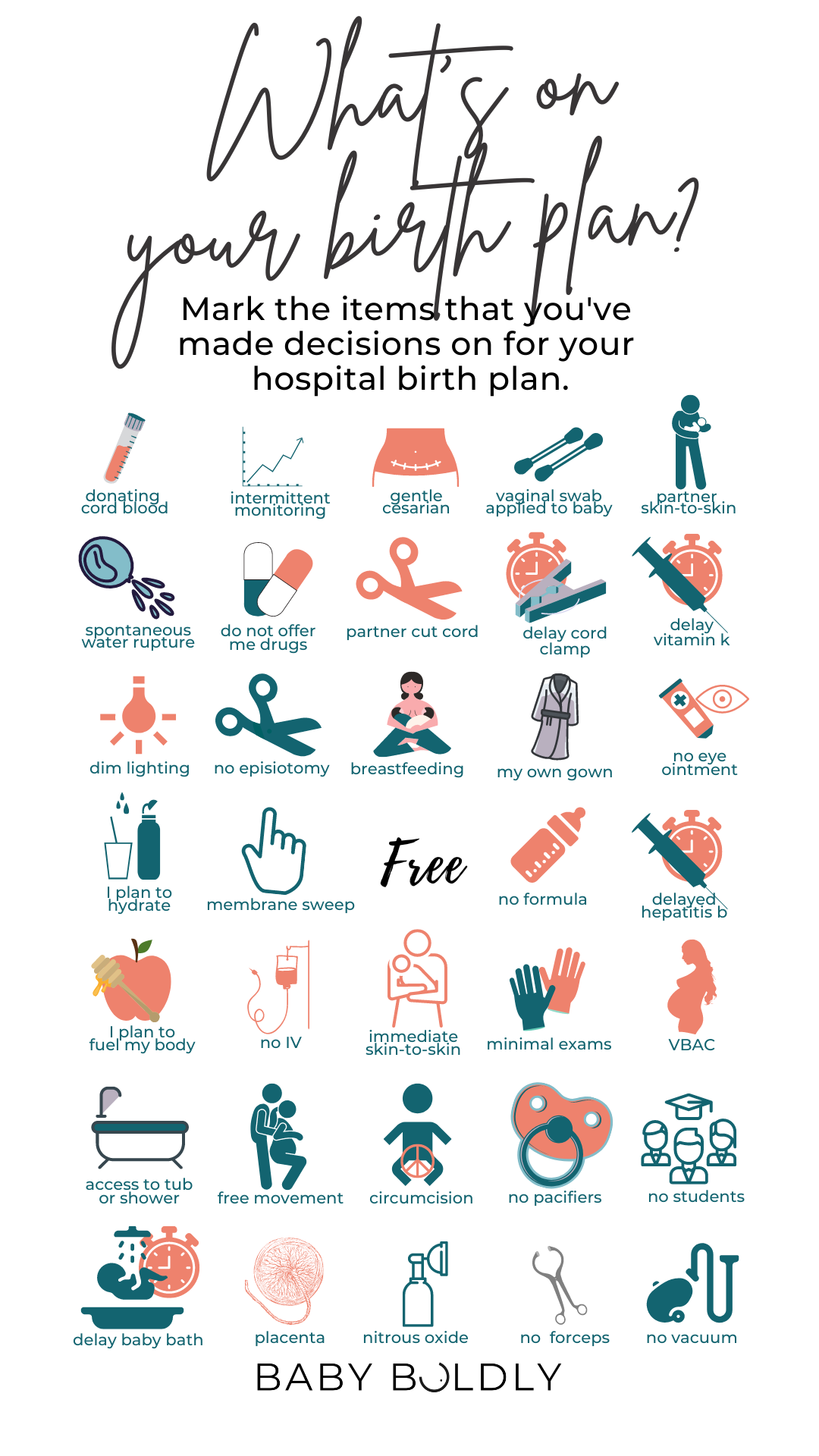 Birth Plan Planner | Baby Boldly